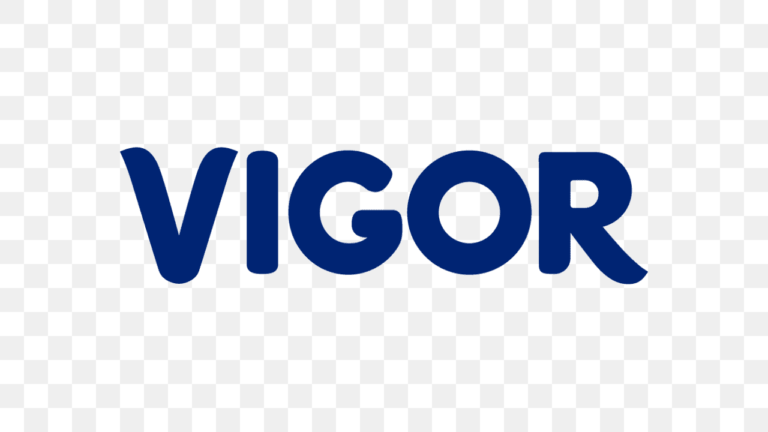 Logo VIGOR – Logos PNG